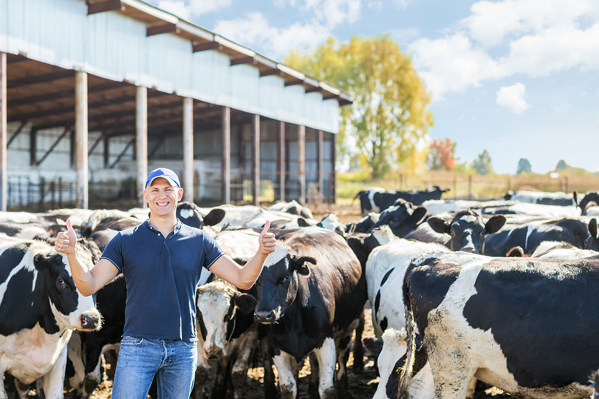 Dairy Structure Management Overhaul Moves Into New Phase - National Farmers