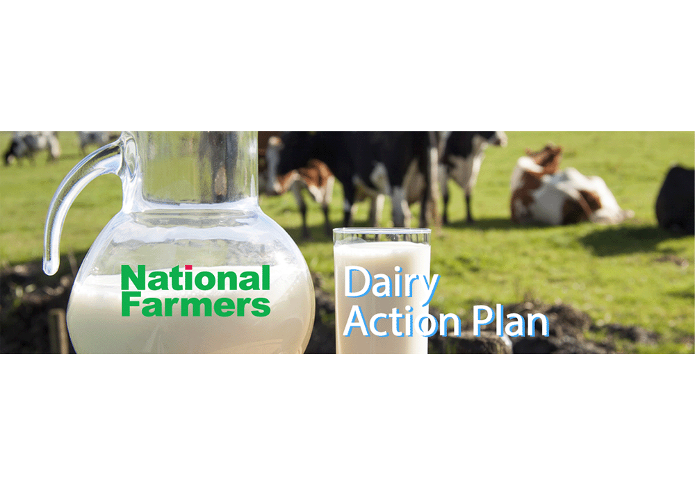 Dairy Action Plan - National Farmers