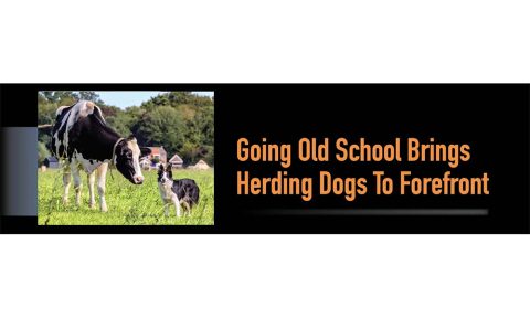 Going Old School - National Farmers