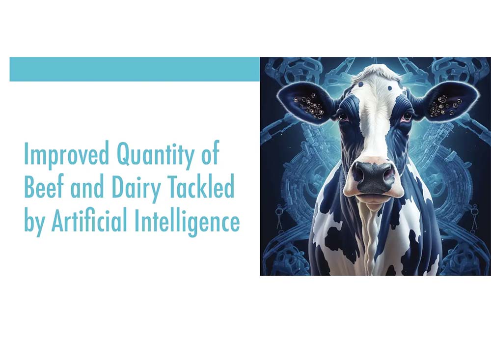 Improved Quantity of Beef and Dairy Tackled by Artificial Intelligence ...