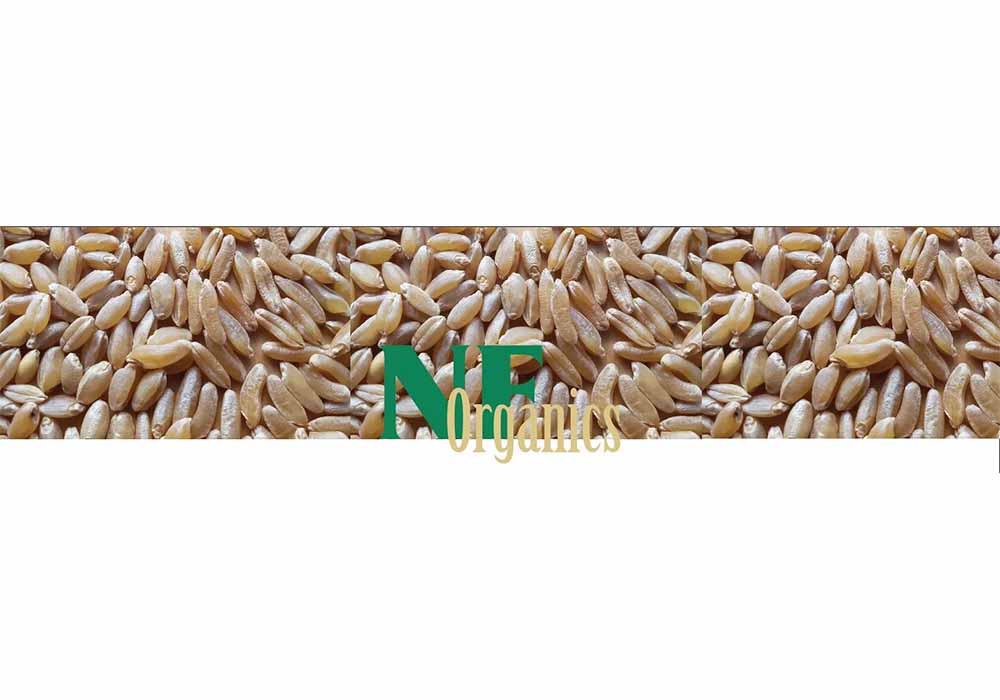 Food Webs Provide Additional Marketing Opportunities - National Farmers