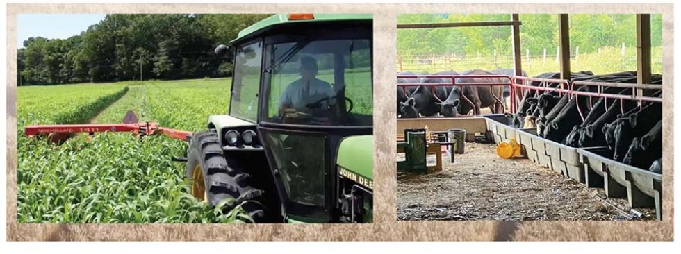 Pursley’s Persevere - National Farmers